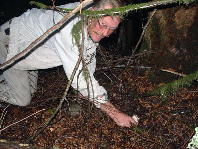 Spinach and Mozzarella Stuffed Meatloaf - Elizabeth's Kitchen Diary