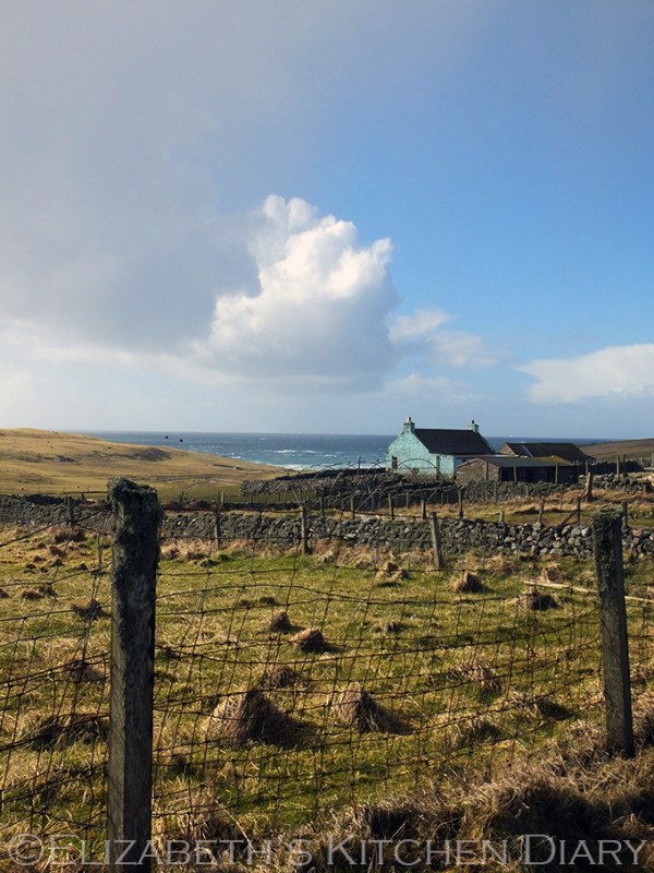 Fair Isle: a Jewel in the Ocean - Elizabeth's Kitchen Diary