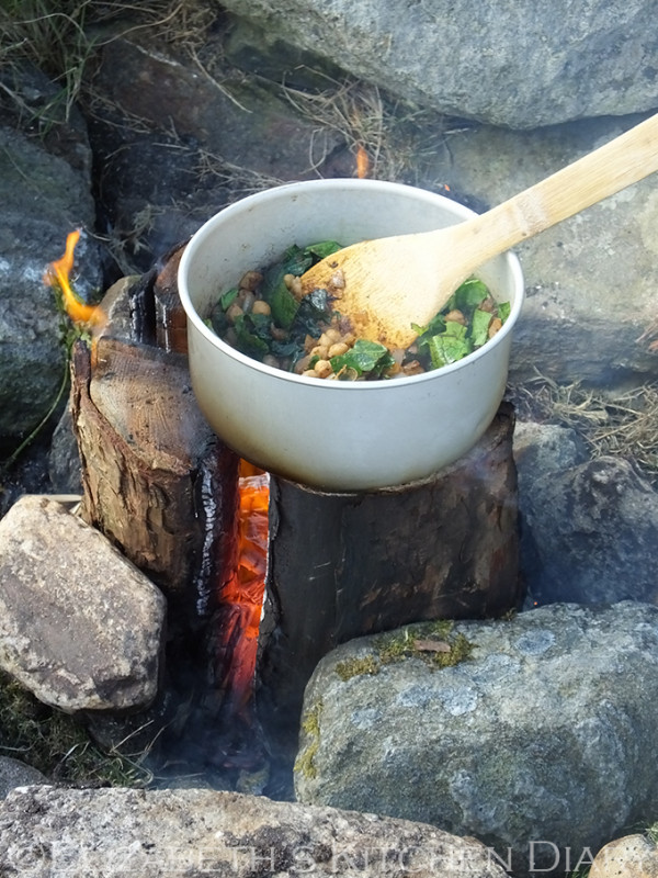 Cooking over a Nordic Fire Log - Elizabeth's Kitchen Diary