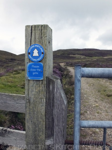 The Hams of Muckle Roe - Elizabeth's Kitchen Diary