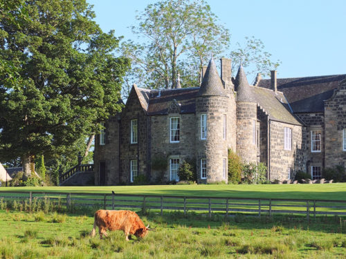 Aberdeenshire Highland Beef: A Farm to Fork Experience - Elizabeth's ...