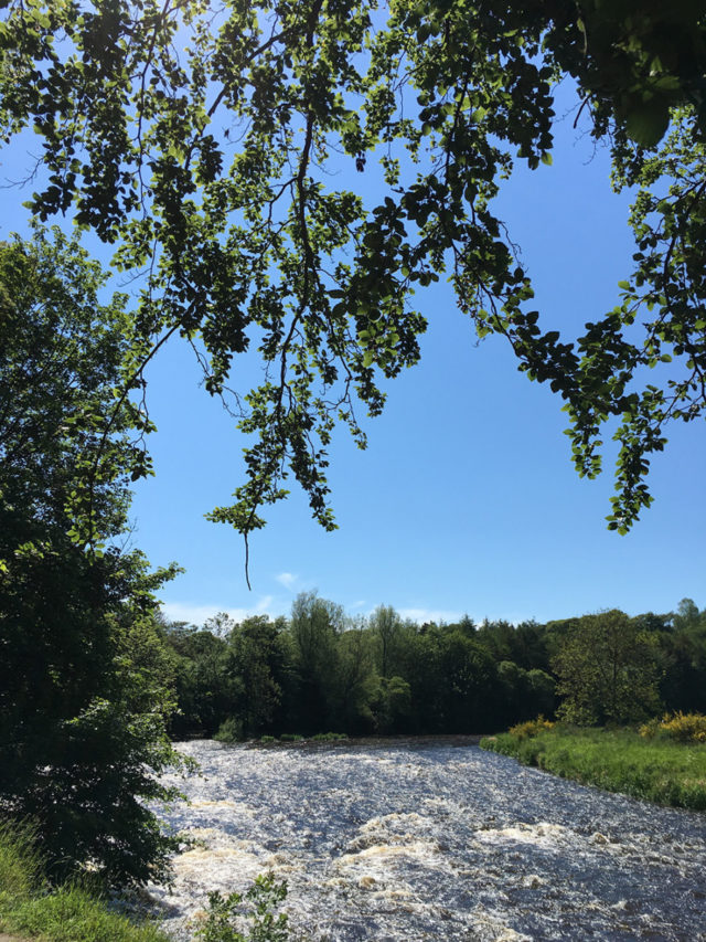 Things to do in Aberdeen: A Travel Guide - Elizabeth's Kitchen Diary