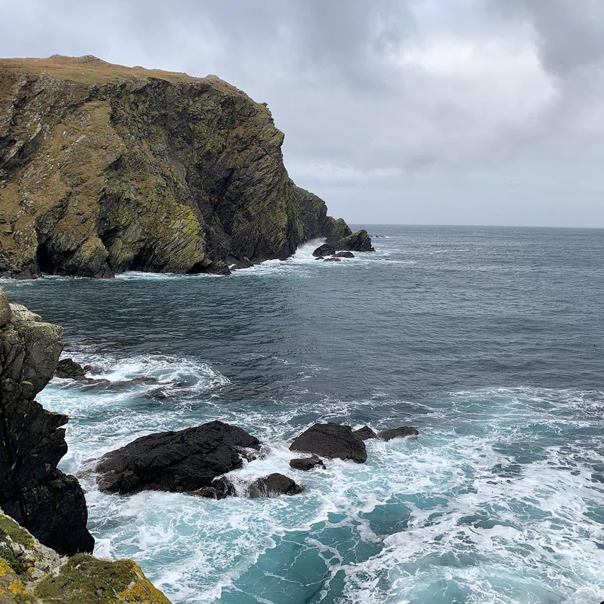A Mediaeval Horsebread Recipe - Elizabeth's Kitchen Diary