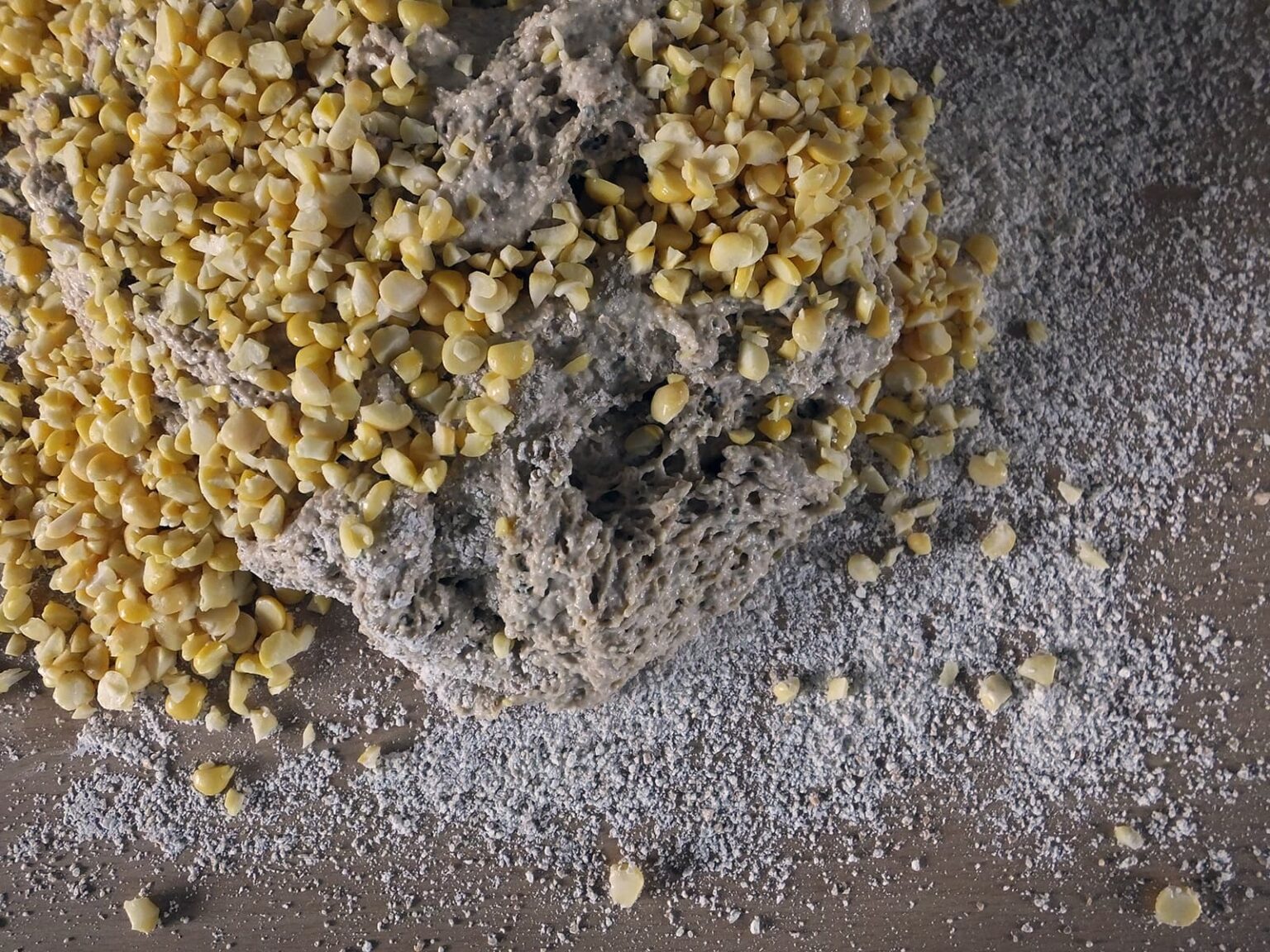 A Mediaeval Horsebread Recipe - Elizabeth's Kitchen Diary