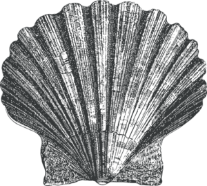 Pan-seared Scallops & Langoustines with Stir-fried Vegetables ...