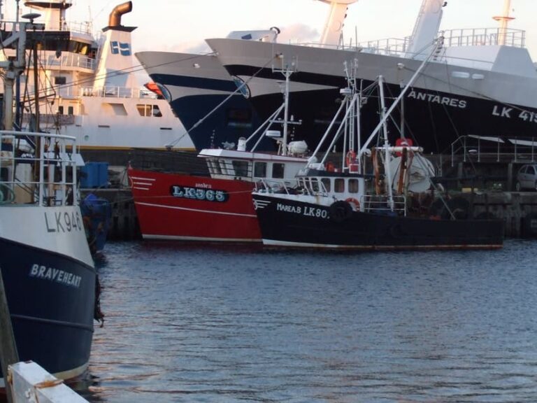 Pan-seared Scallops & Langoustines with Stir-fried Vegetables ...